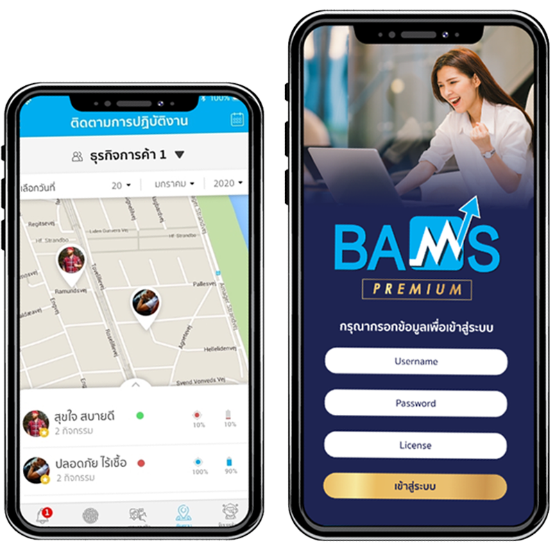About us - BAMS